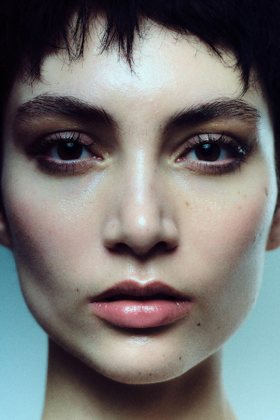 Crystal Models Management